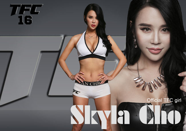 스카일라 이지수능교육